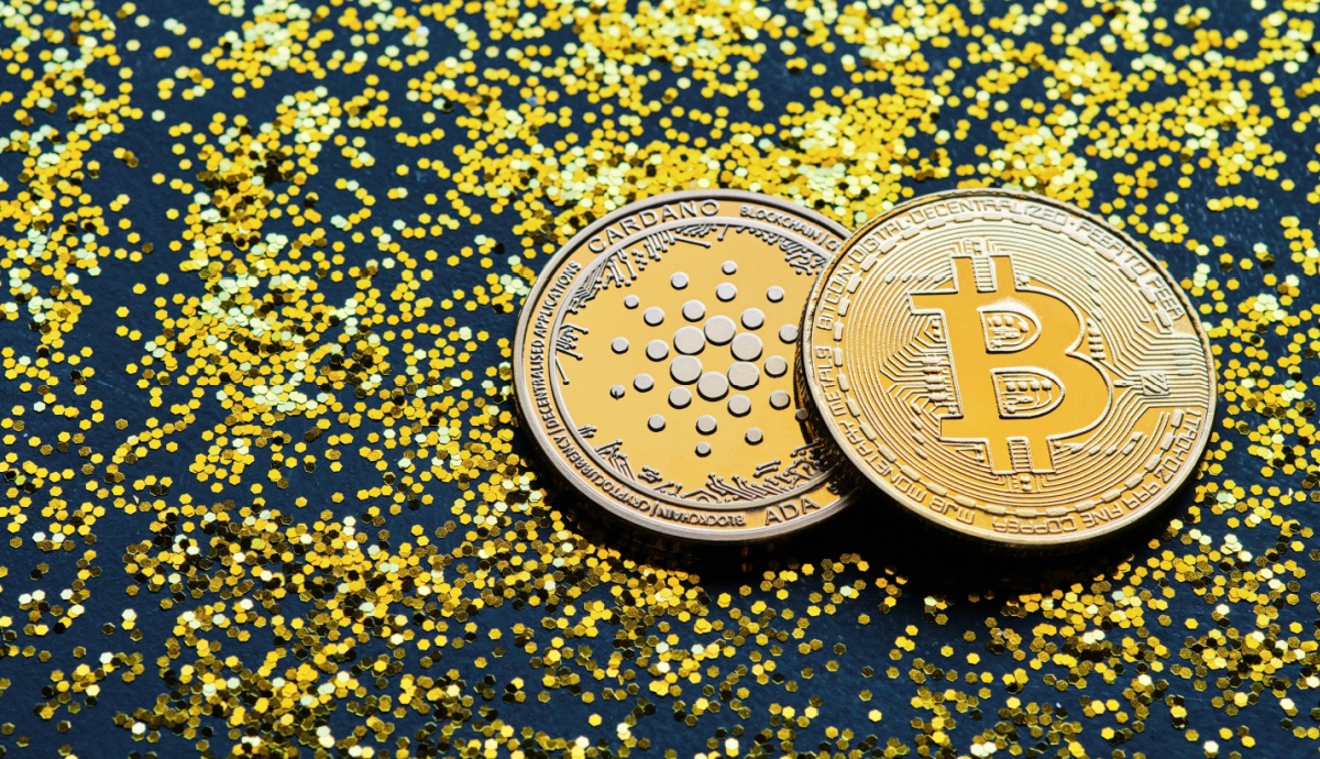 Manhã Cripto: Veja os níveis de resistência e suporte em outubro para Bitcoin, Cardano e Dogecoin